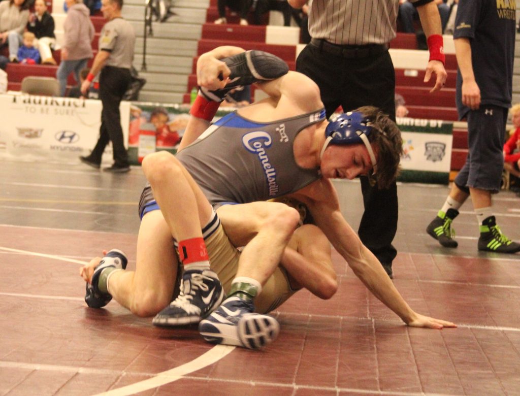 Flying high again: Falcons come out swinging in state quarterfinal win ...